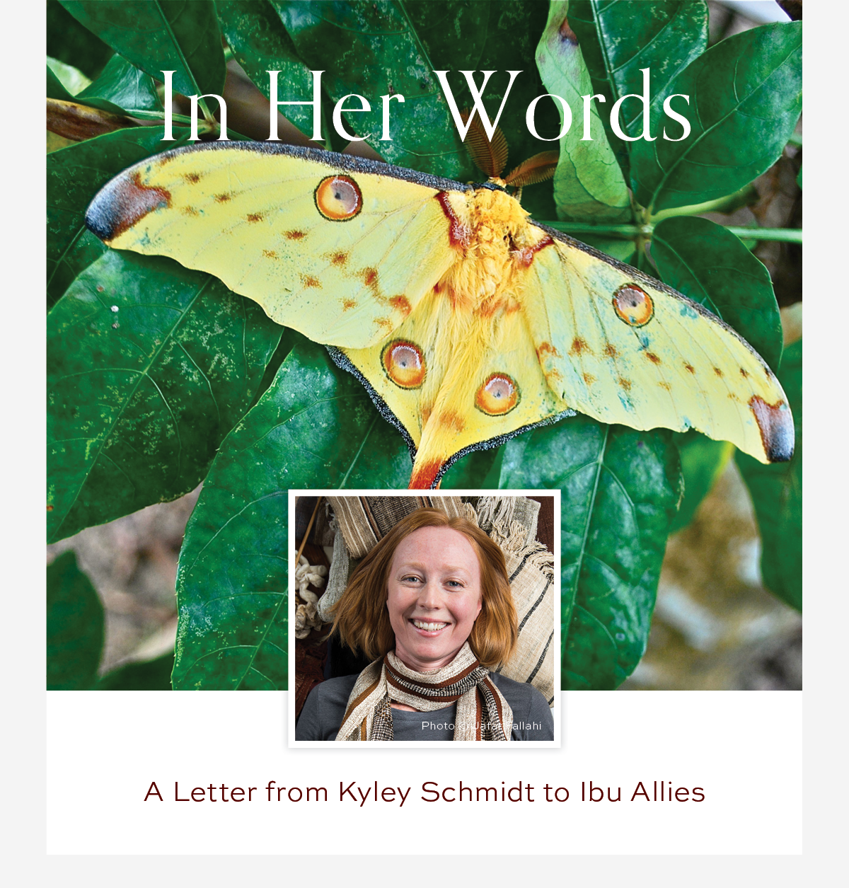 In Her Words: A Letter from Kyley Schmidt to Ibu Allies – Ibu Movement